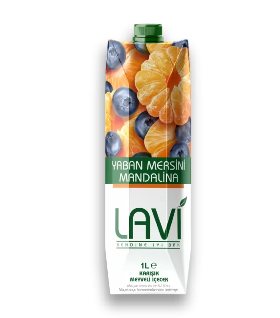 MEYVE SUYU – LAVİ GIDA